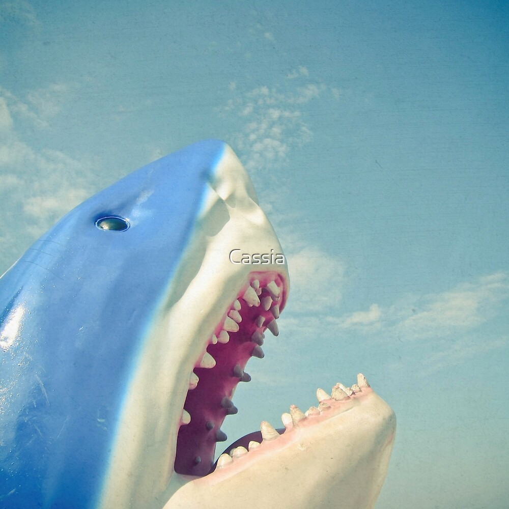 "Shark" by Cassia Beck | Redbubble