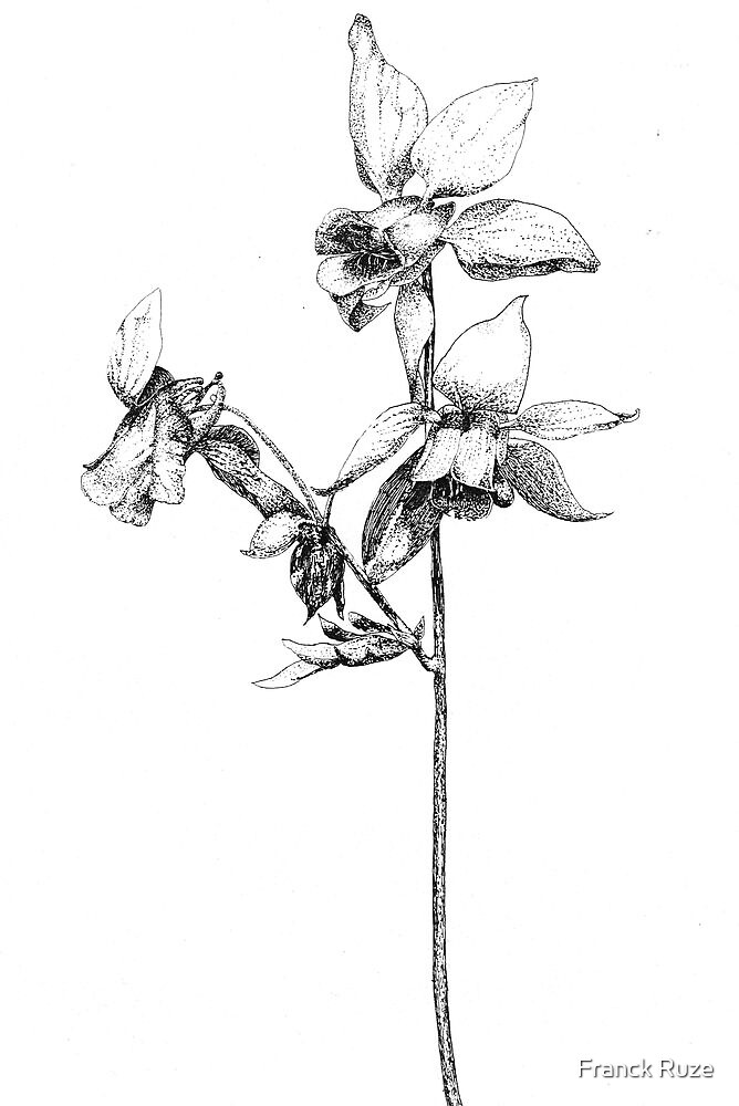 "French alps 8" by Franck Ruze | Redbubble