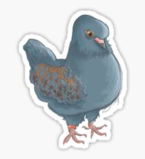 Pigeon: Stickers | Redbubble