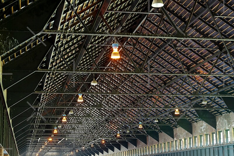 "Steel Roof Trusses Covering Rankine Power Station" by Kendall Anderson ...