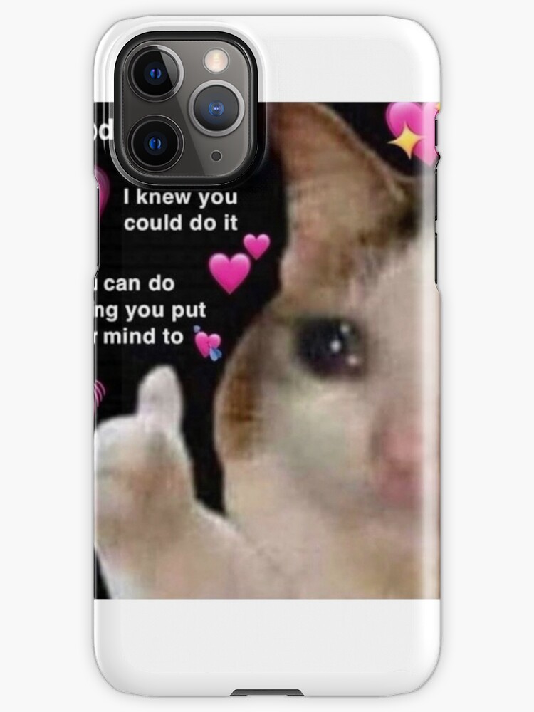 "Wholesome Cat Meme" iPhone Case & Cover by Ieb-exe | Redbubble