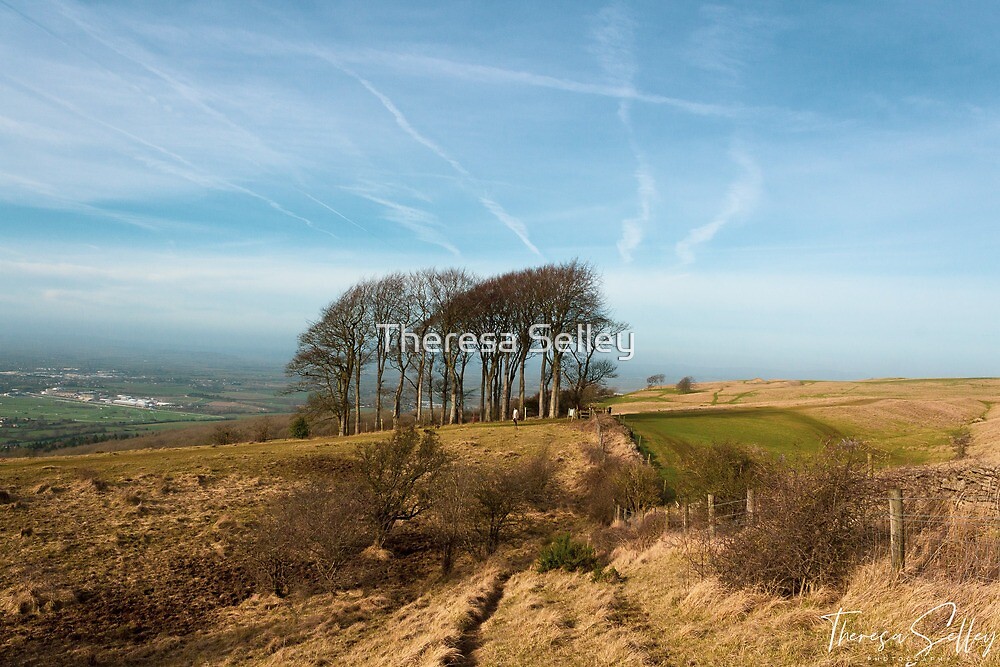 "My Favorite View" by Theresa Selley | Redbubble