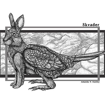 "Skvader" Poster for Sale by Amanda Stanley | Redbubble