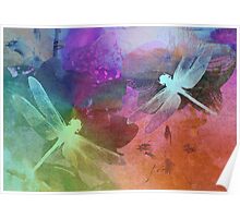 "Amazing Dragonflies." by Vitta | Redbubble