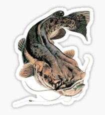 Catfish Stickers | Redbubble