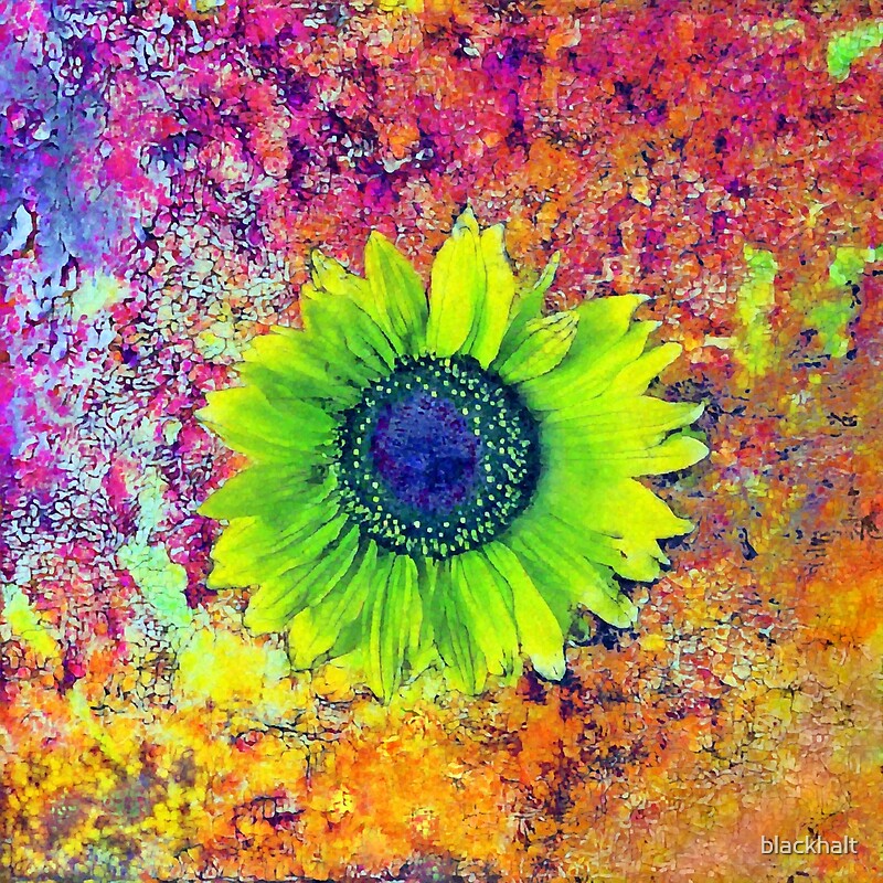 "Abstract sunflower" by blackhalt | Redbubble