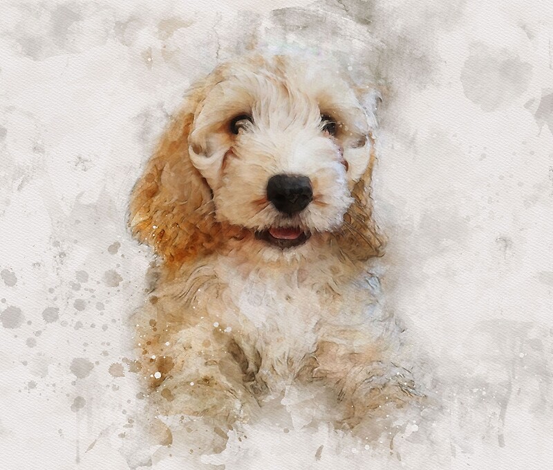 "Cute cockapoo watercolour effect" by Gerald Waters | Redbubble