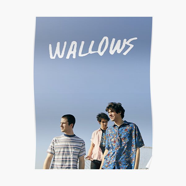 Wallows Posters | Redbubble