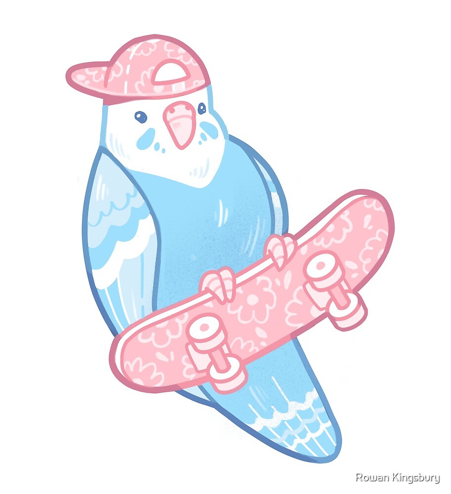 "Pink and Blue Coo Bird" by Rowan Kingsbury | Redbubble