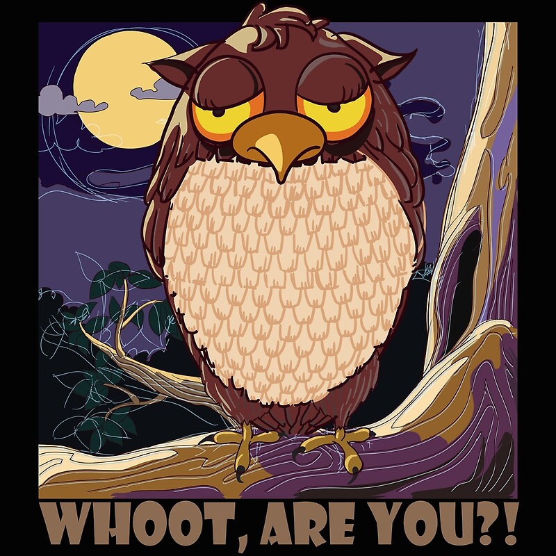 "Whoot Are You, Owl" by James Hindermeier | Redbubble