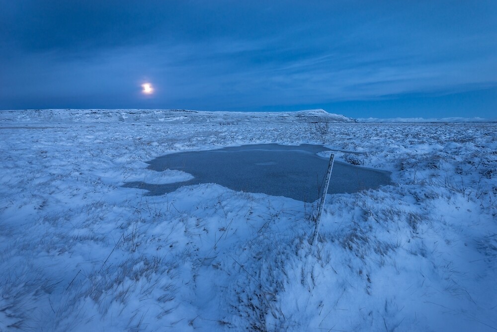 "Moonlit pool" by Barno123 | Redbubble