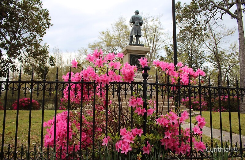 "Azaleas Along The Iron Fence" by Cynthia48 | Redbubble