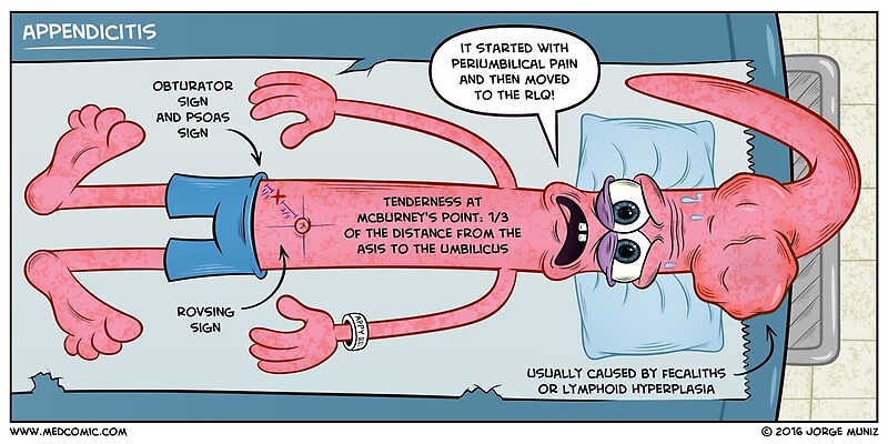 "Appendicitis" by Medcomic | Redbubble