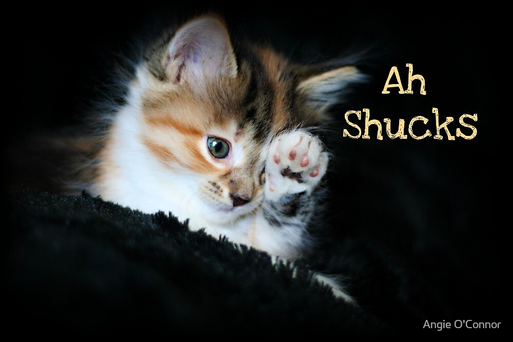"Ah Shucks" by Angie O'Connor | Redbubble