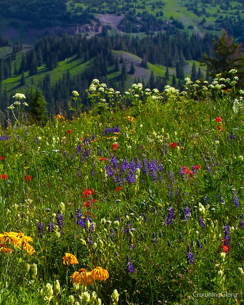 "Wildflower Meadows Above Lake Irwin" by CrowningGlory | Redbubble