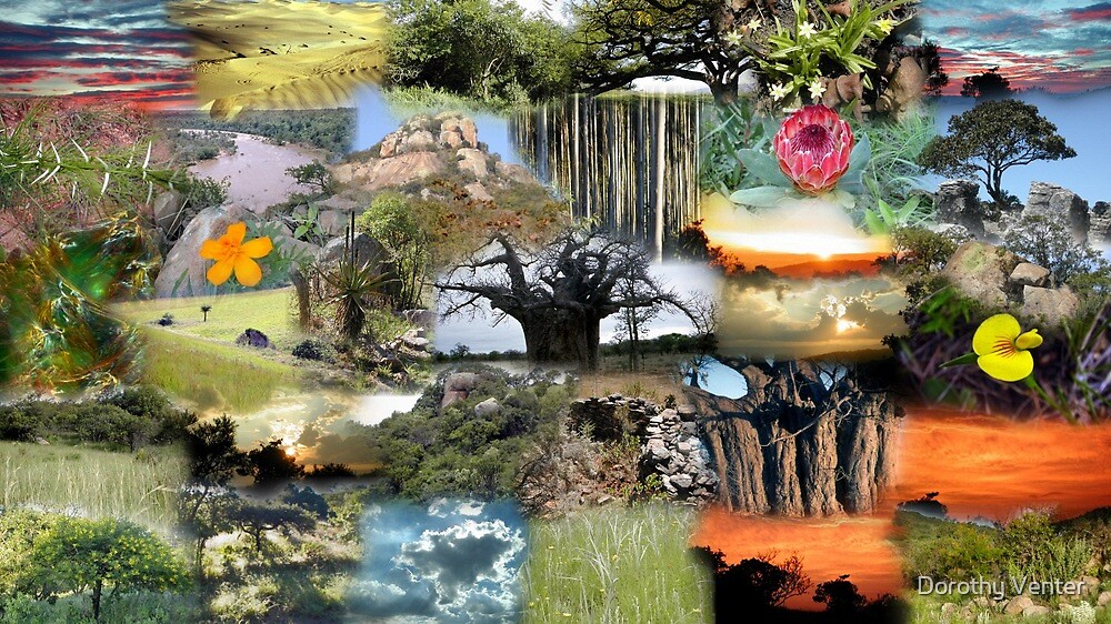 "Africa Collage" by Dorothy Venter | Redbubble