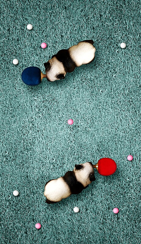 "Animal Art - Ping Pong Pandas" by Michael Murray | Redbubble