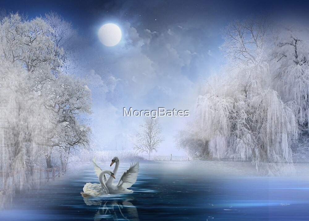 "Swans in Moonlight" by Morag Bates | Redbubble