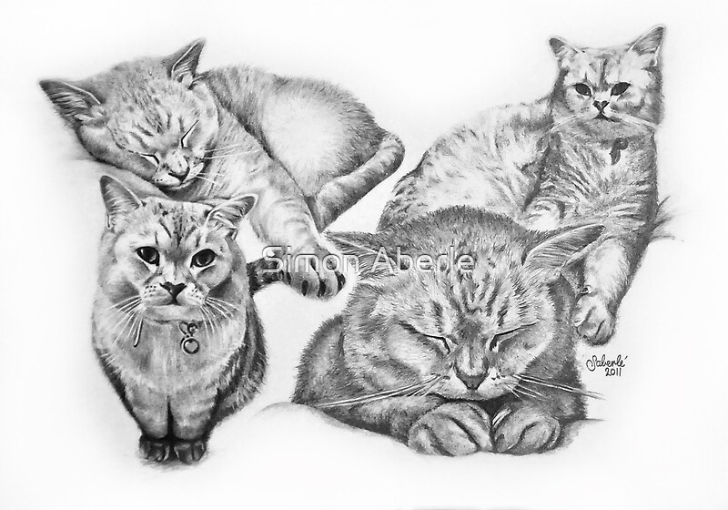 "Bertie" by Simon Aberle | Redbubble