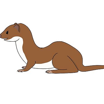 "Weasel" Sticker for Sale by stickerstone | Redbubble