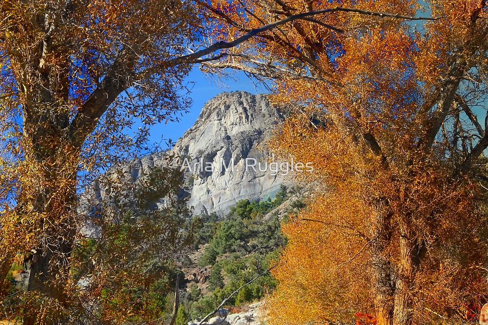 "Goshute Peak" by Arla Ruggles | Redbubble