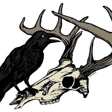 "Raven Perched On Deer Skull" Poster for Sale by zombieCraig | Redbubble