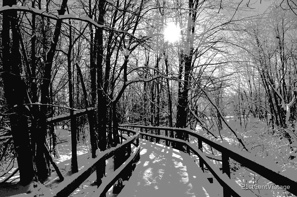 Footpath Through A Winter Wonderland Black And White Art Photo Of Ice