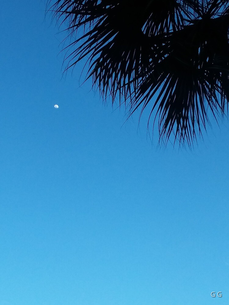 "Miami Moon 1" by G G | Redbubble