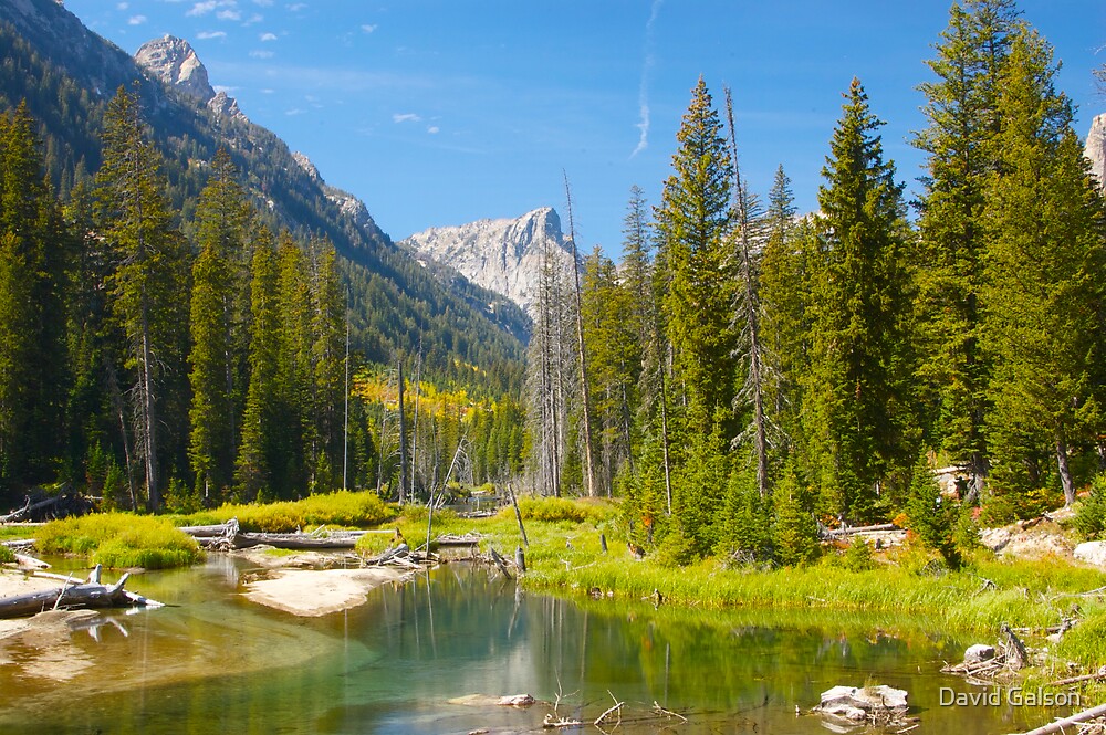"Cascade Canyon above Jenny Lake, WY" by David Galson | Redbubble