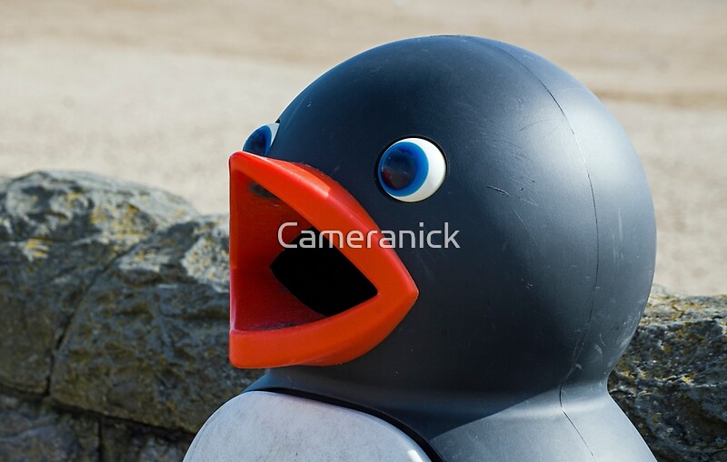 "Pingu on the seafront at Barry Island. Pingu is a very effective ...