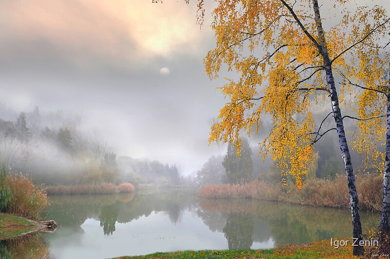 "Fog in November" by Igor Zenin | Redbubble