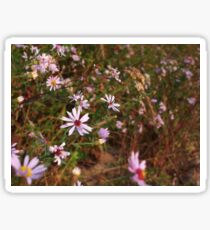 Wildflower: Stickers | Redbubble