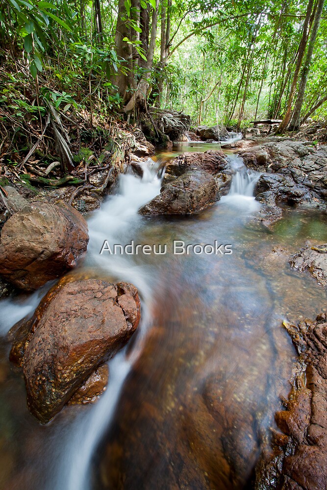 "Shady Creek" by Andrew Brooks | Redbubble
