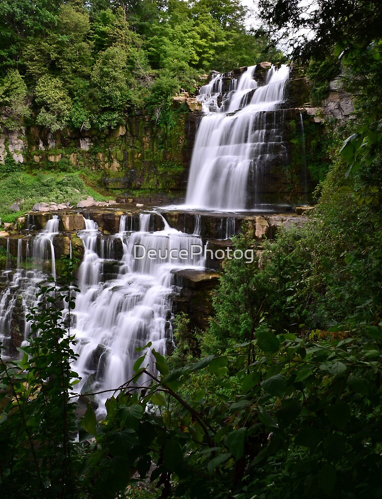 "" Chittenango Falls - Chittenango Falls State Park, NY "" by ...