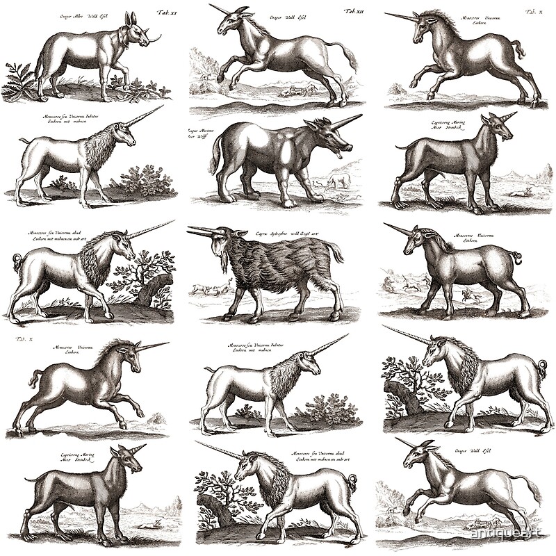 "Antique Unicorn Vintage Drawing Pattern" by antiqueart | Redbubble