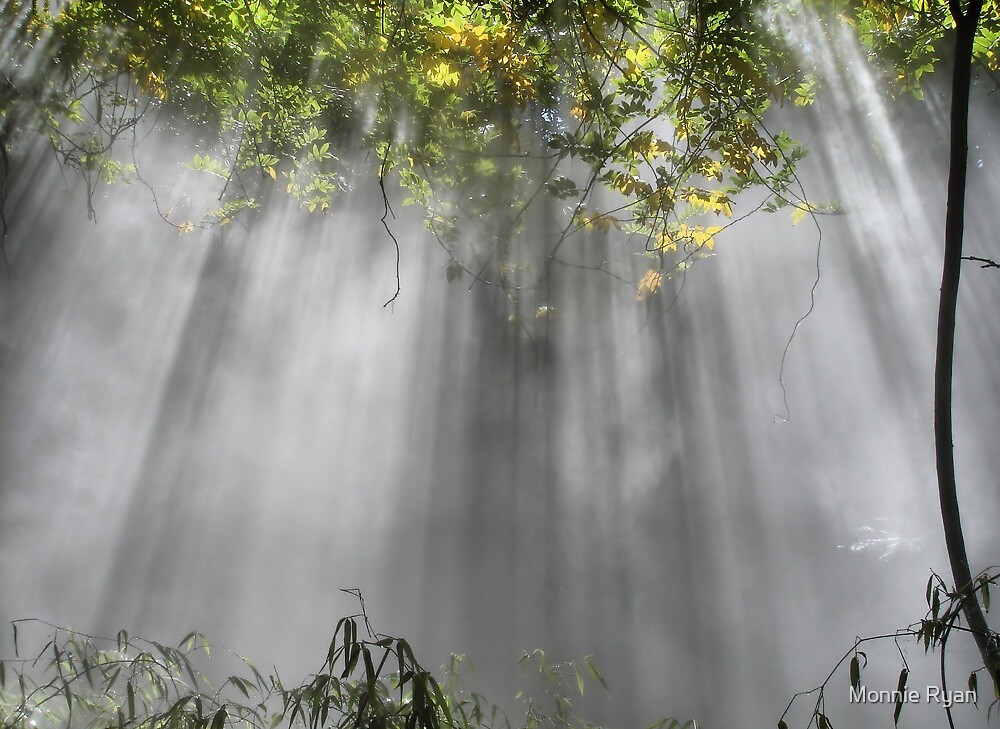 "Zoonami" by Monnie Ryan | Redbubble