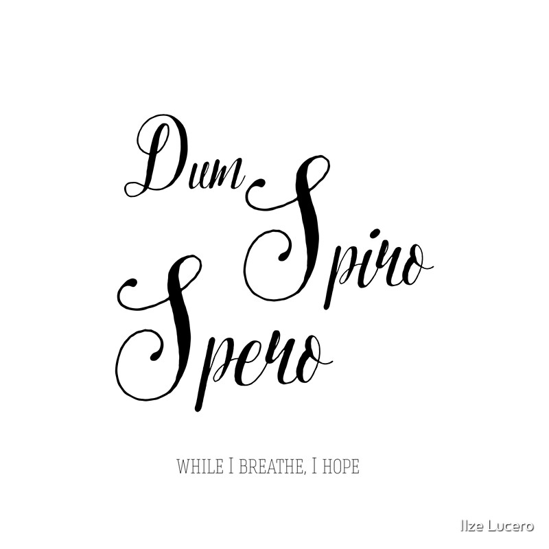 "Dum Spiro Spero - Latin quote while I breathe I hope" by Ilze Lucero ...