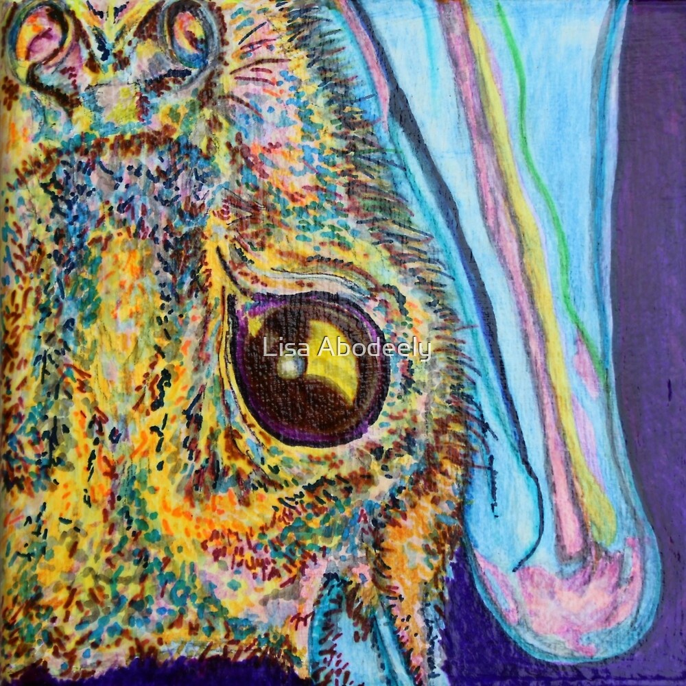 "Bulmer Fruit Bat" by mahaloyall | Redbubble