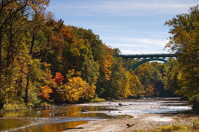 "Lorain Road Bridge in Fall" by Henry Plumley | Redbubble