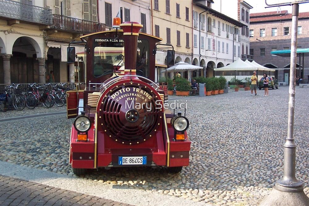 "Dotto Train - Pavia, Italy " by Maria Komprath | Redbubble