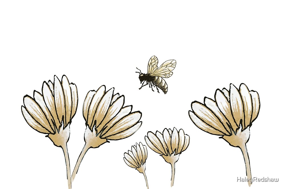 "buzzy bumble bee with flowers" by HaleyRedshaw | Redbubble