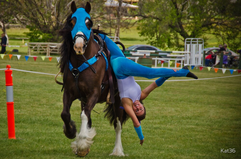 "Trick Riding" by Kat36 | Redbubble