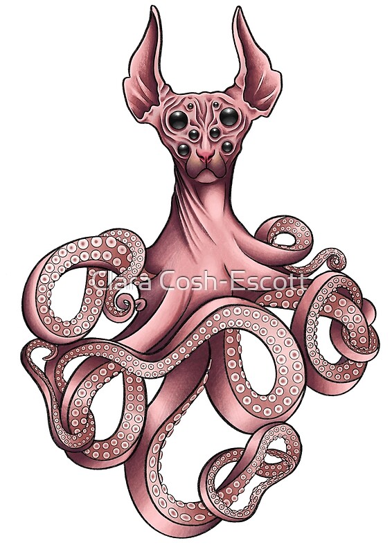 "Cactopus" by Clara Cosh-Escott | Redbubble