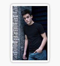 Dolan Twins: Stickers | Redbubble