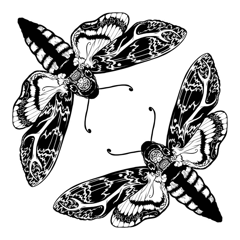 "HANNIBAL: Deathhead Moth 1" by nephilaclavipes | Redbubble
