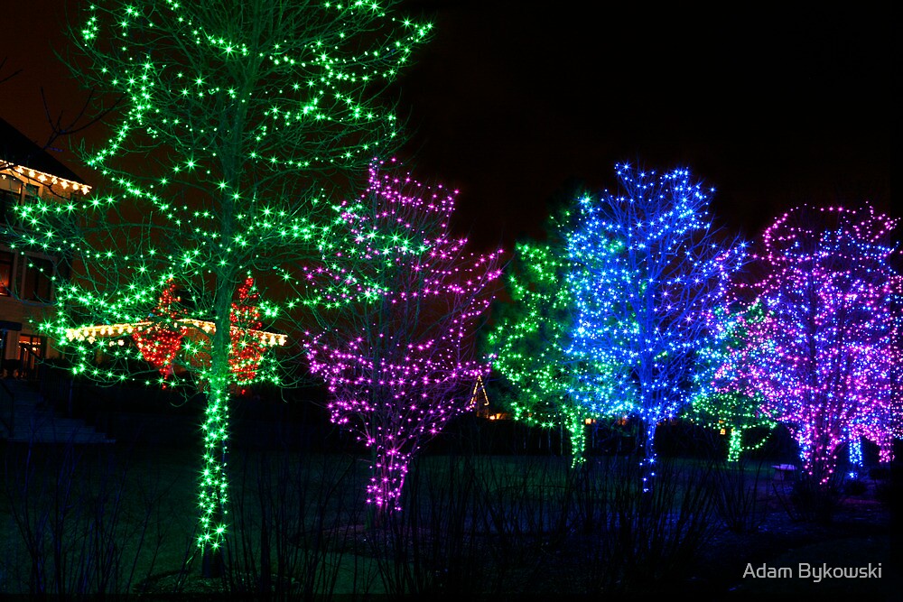 "The Electric Forest" by Adam Bykowski | Redbubble