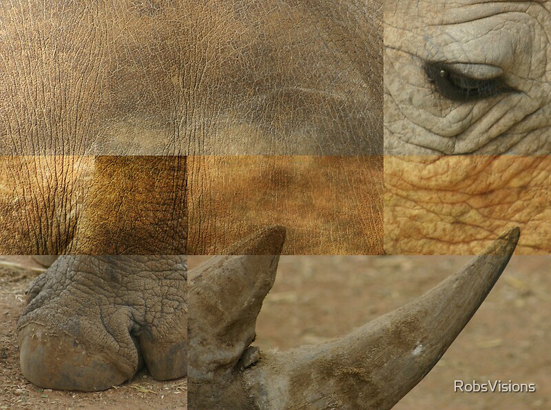 "Rhino Collage" by RobsVisions | Redbubble