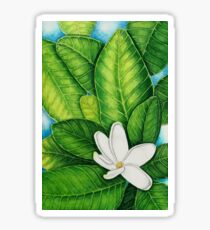 Gardenia: Stickers | Redbubble