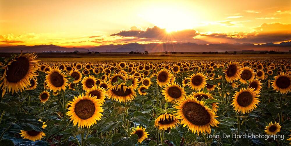 "Evenings Of Augusts Past" by John De Bord Photography | Redbubble