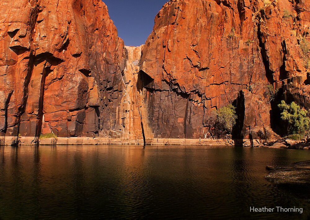 ""Python Pool"" by Heather Thorning | Redbubble